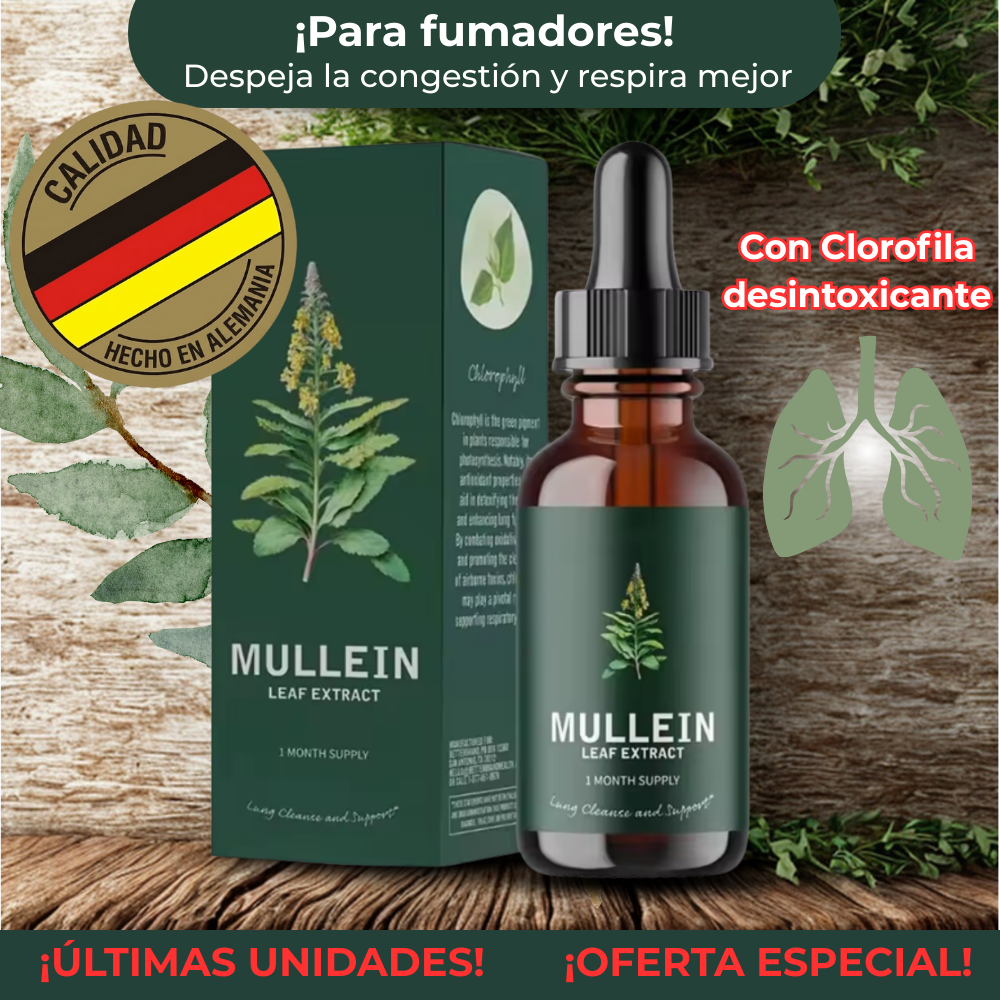 MULLEIN - Extracto de hoja de GORDOLOBO – Florama